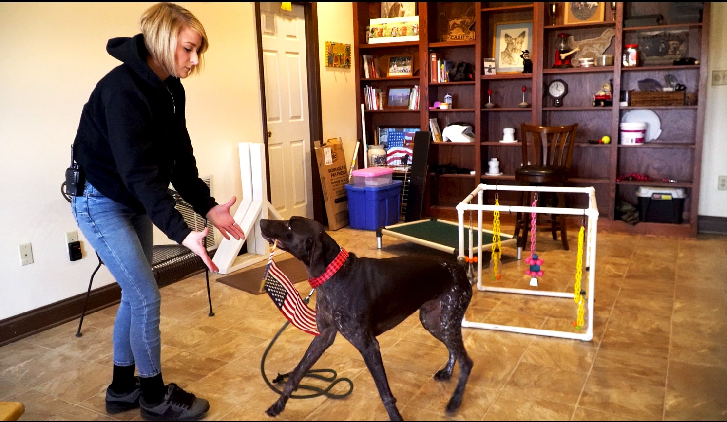 Dog Training Techniques for a Well-Behaved Pet - Good Dog Paws