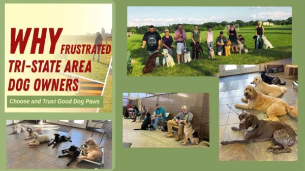 Dog Training Techniques for a Well-Behaved Pet - Good Dog Paws