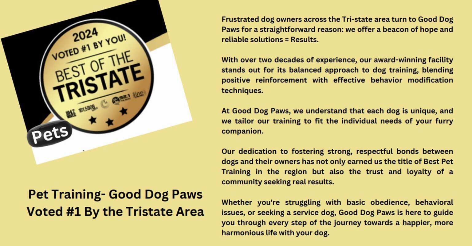 Dog Training Techniques for a Well-Behaved Pet - Good Dog Paws